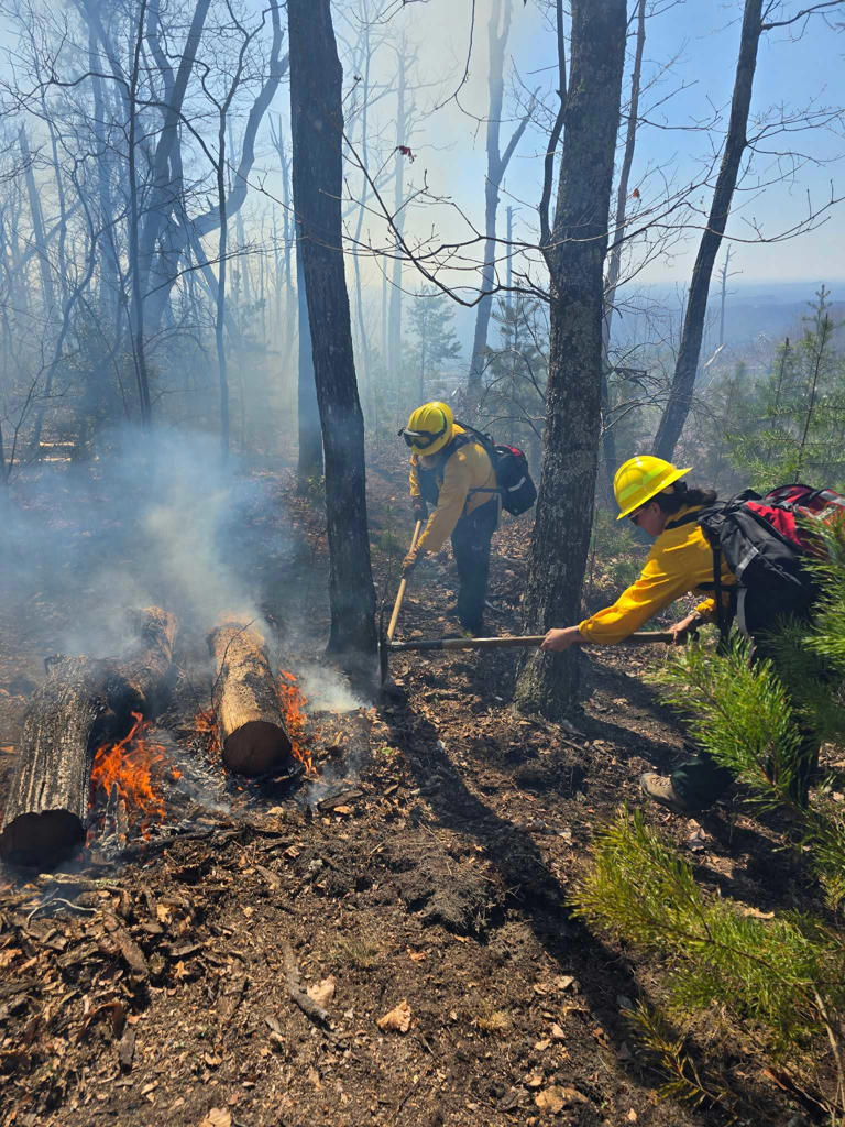 How to help firefighters, officials battling Table Rock State Park fire
