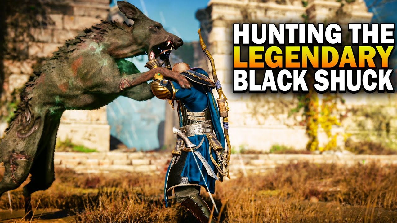 Hunting The Legendary Animal, The Black Shuck! Assassin's Creed ...
