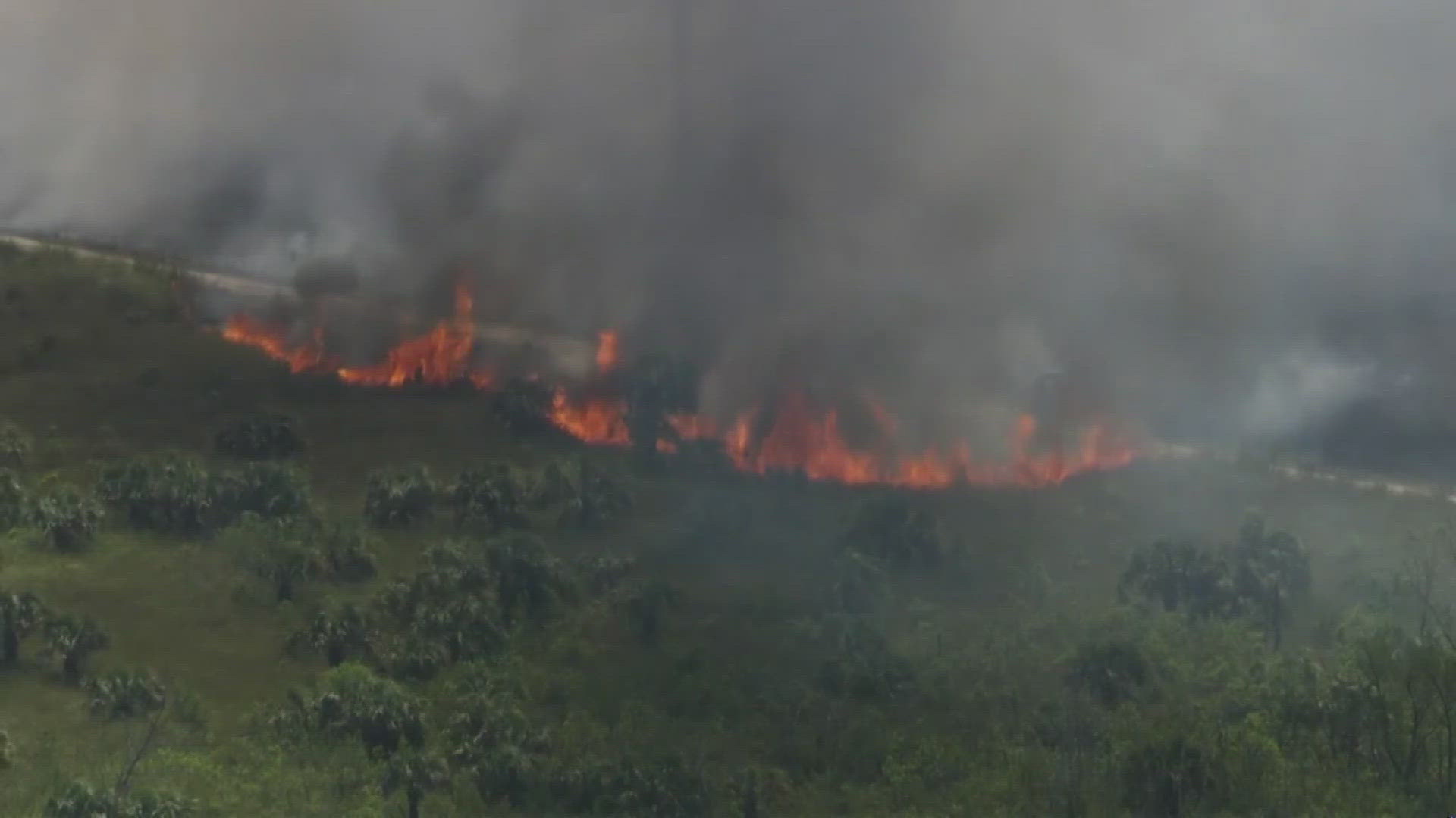Florida wildfires persist due to land development and dry weather ...