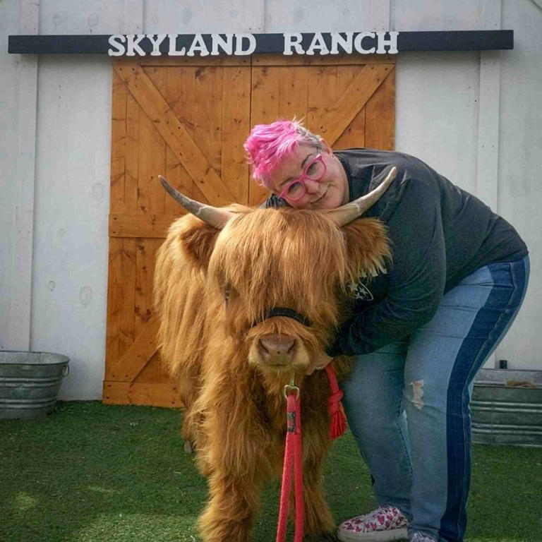 From snakes to sky-high coasters: Overcoming fear in Sevierville, TN