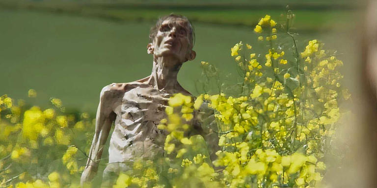 28 Years Later Trilogy Explained By Director Danny Boyle, And The 2026 Movie Just Got More Exciting