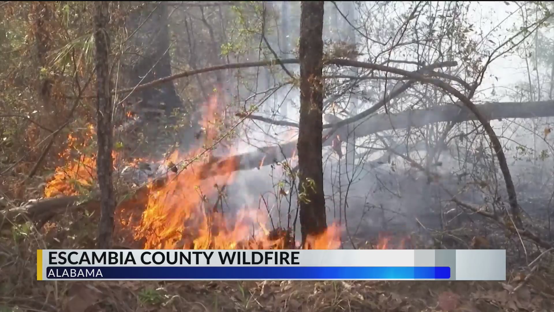 Weekend wildfire burns approx. 170 acres, officials say
