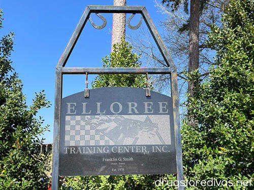 Elloree Trials horse race: Everything you need to know
