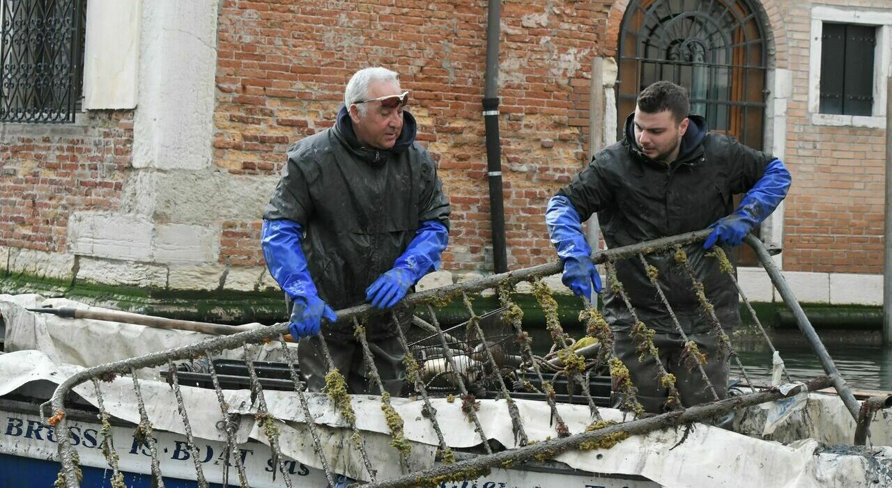 Gondolieri sub, nuova immersione: recuperati 10 quintali di rifiuti. Ci ...