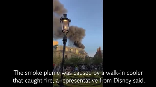 Massive smoke plumes captured above Disney’s EPCOT after fire breaks ...