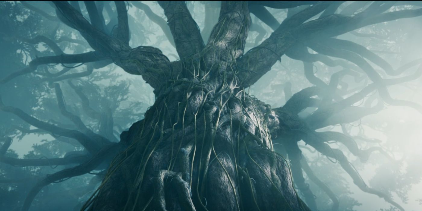 What Is Avendesora? 'The Wheel of Time's Ancient Tree of Life and Its ...