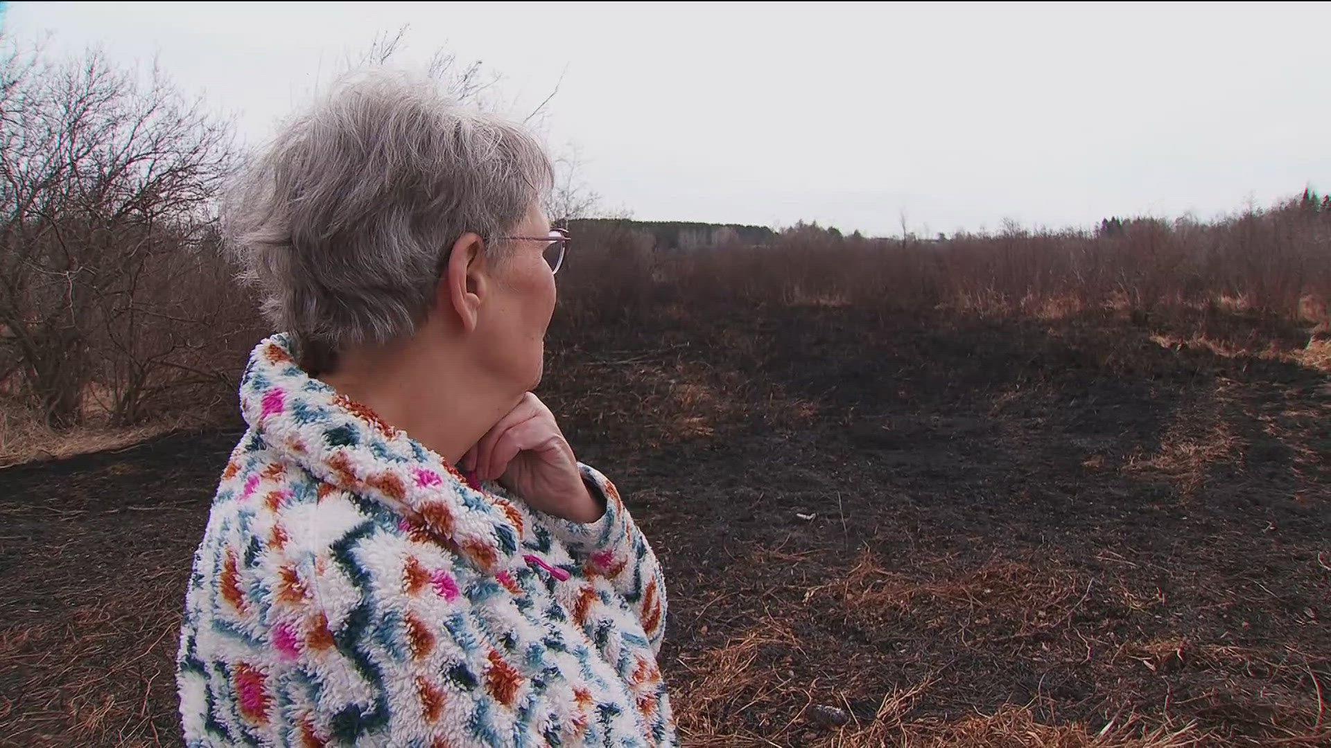 Fire burns nearly 40 acres in Shoreview Saturday night