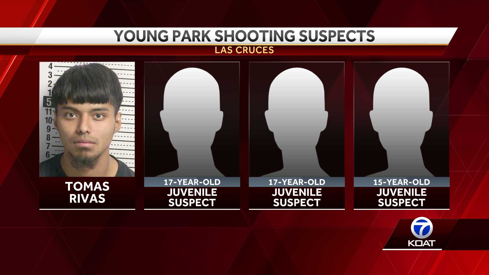 Four people arrested in Young Park mass shooting incident