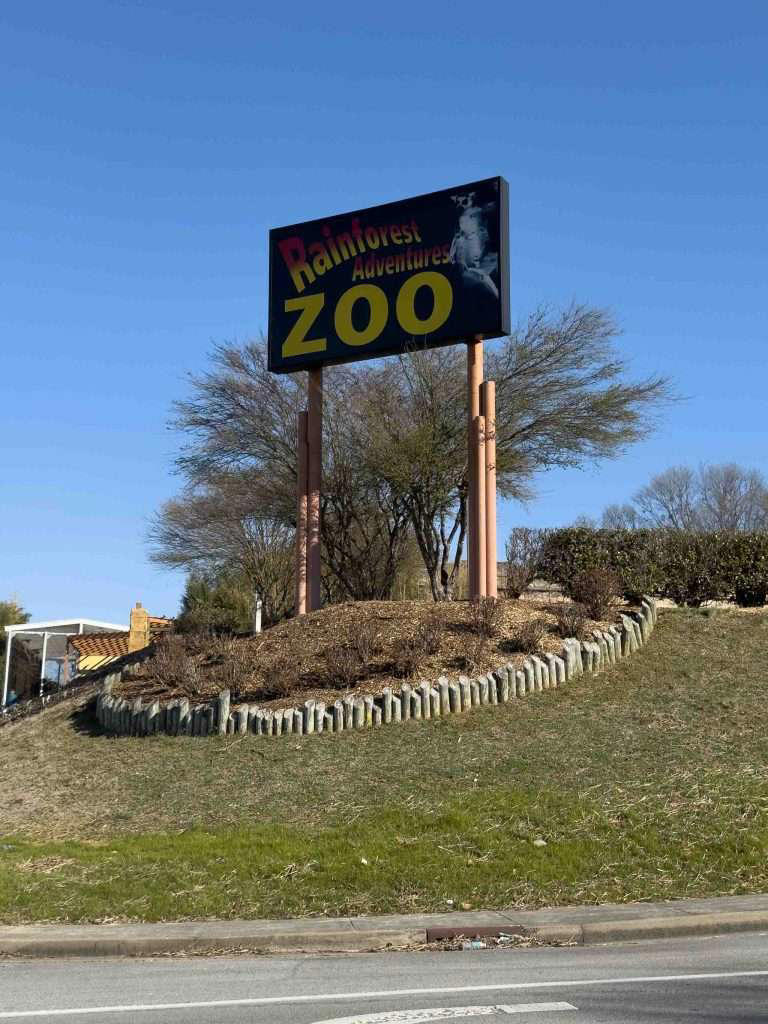 From snakes to sky-high coasters: Overcoming fear in Sevierville, TN