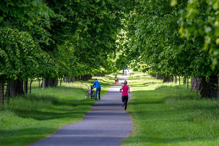 Ireland weather: Met Eireann forecasts dry and sunny week ahead before ...