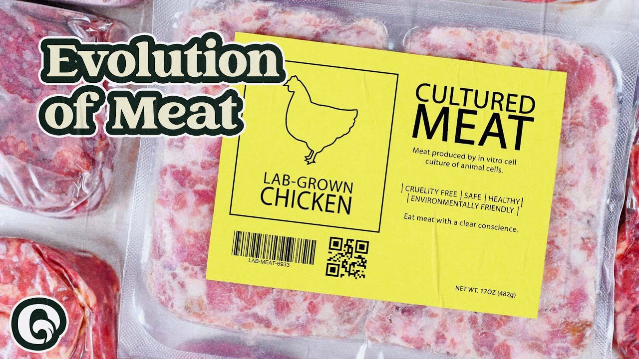 Lab-Grown, Plant-Based… What’s Next for Meat?