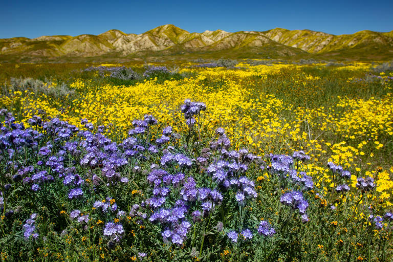 Sample taste of summer weather expected this week in the High Desert