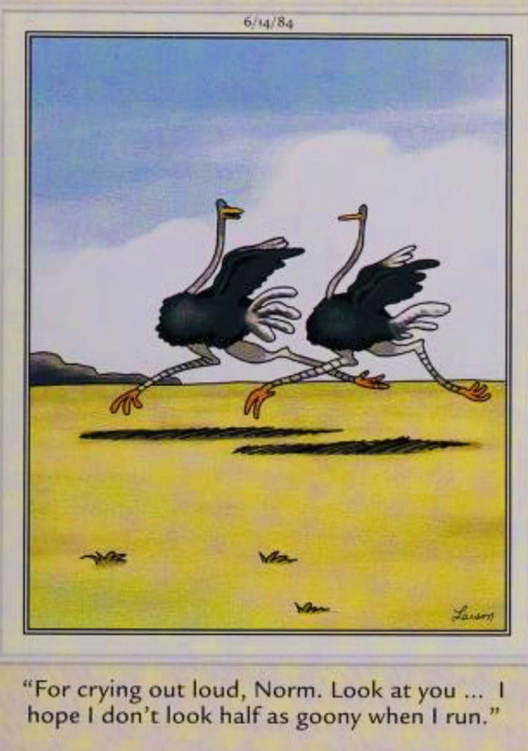 10 Whimsical Far Side Comics That Prove the Series Can Be Perfectly Silly