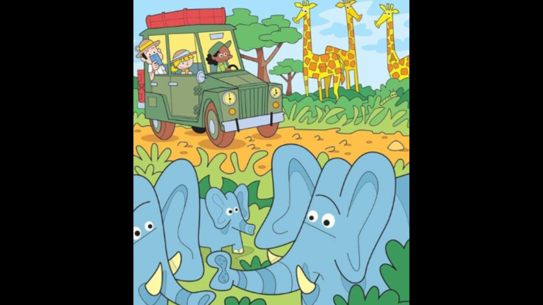 Optical Illusion: Can You Spot The Rocket In The Jungle?