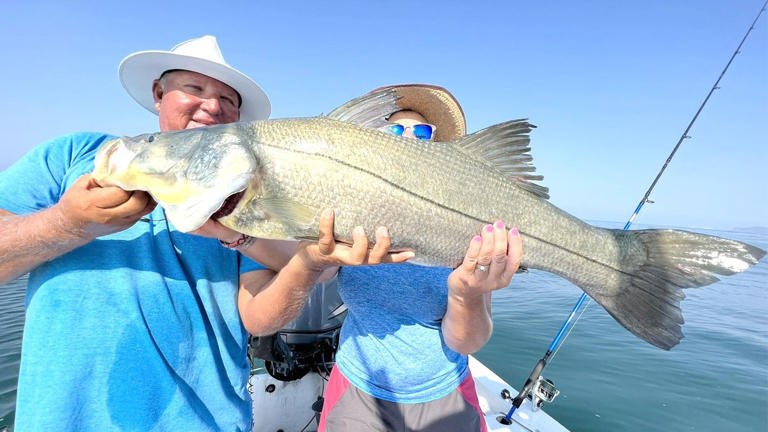 Archaeologists uncover mysterious pyramid and ancient artifacts in ...