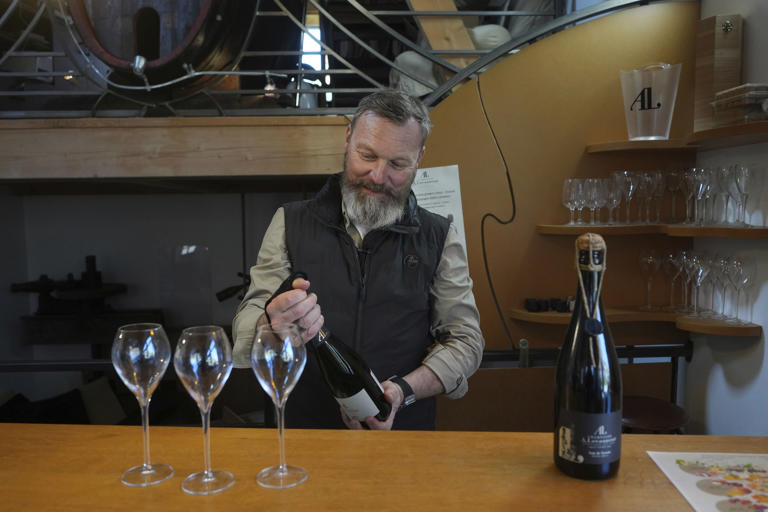 Trump-toll vil få dramatiske følger for europeiske vinbønder