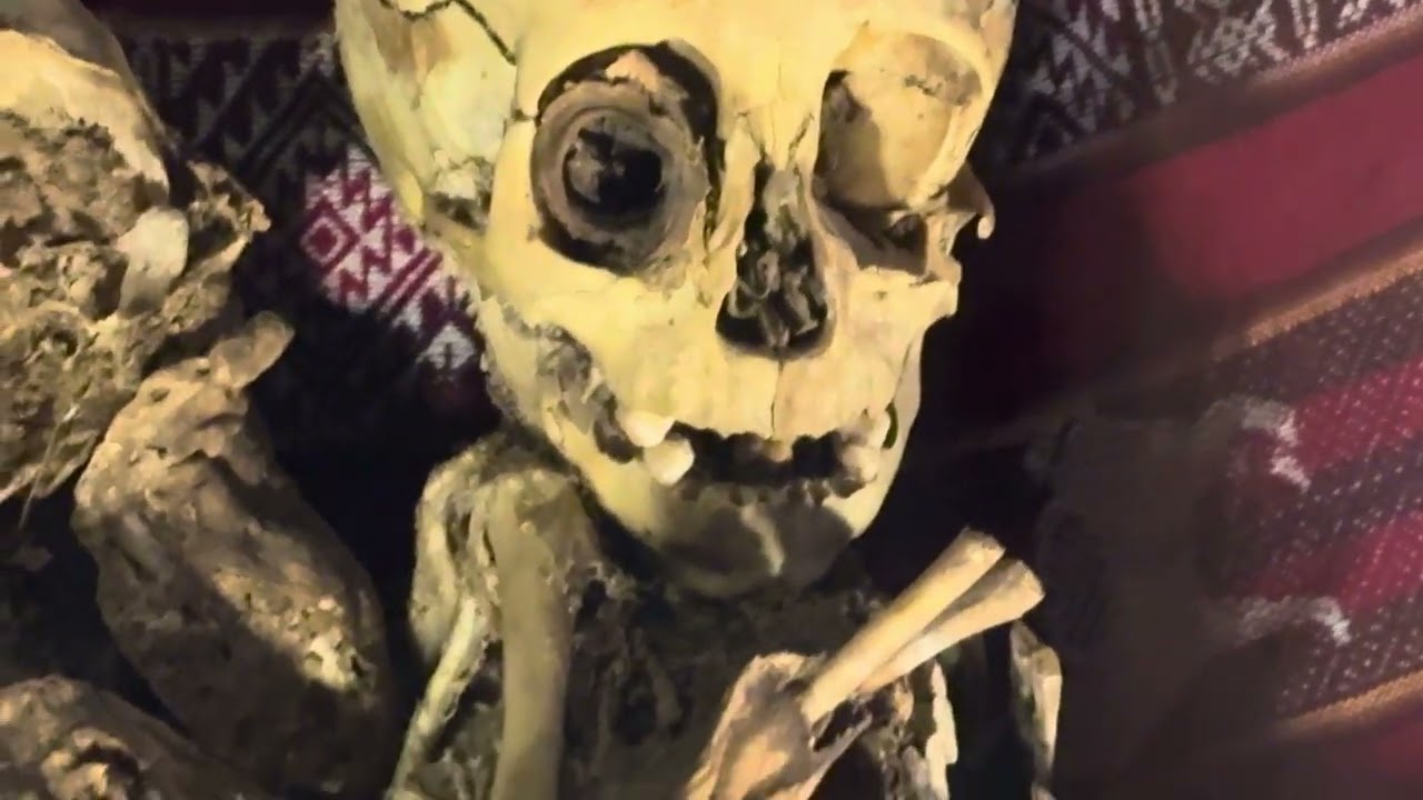 The Huayqui Mummy of Peru: A Mysterious Discovery
