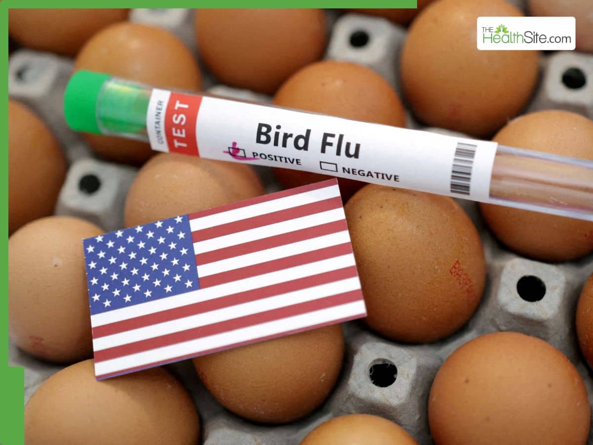 Bird Flu Outbreak In US: The H5N1 Influenza Virus Is Mutating Fast ...