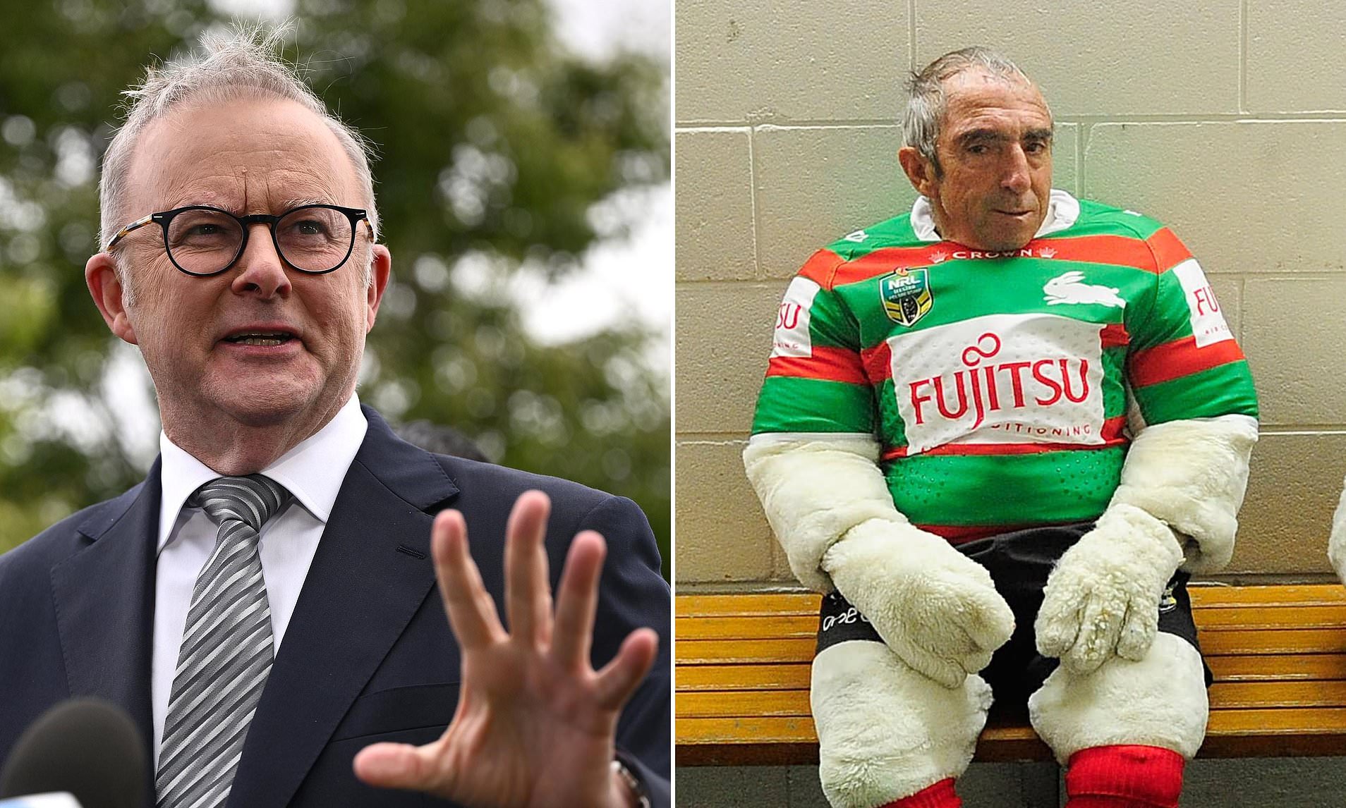 Anthony Albanese rushes to defend Souths NRL mascot accused of pushing ...
