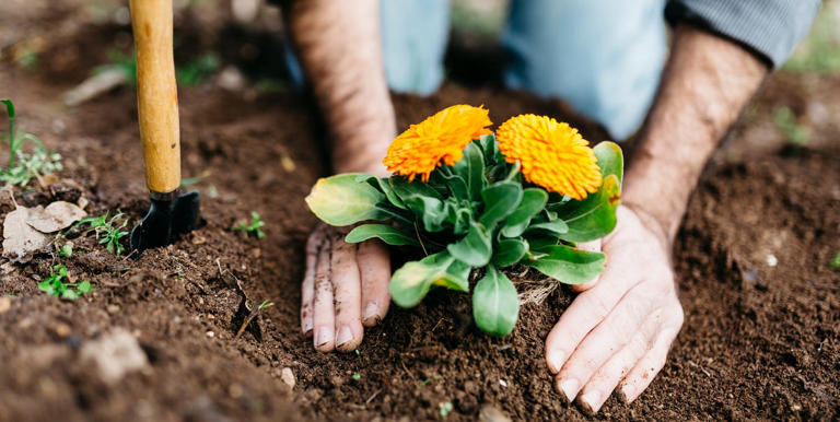 No-dig gardening: What is it and how does it work?
