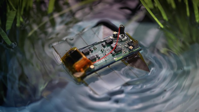 Scientists debut tiny robot that can swim to tackle invisible problems ...