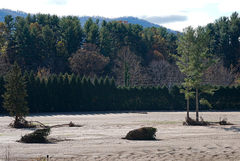 Asheville seeks team to help rebuild historic muni golf course after ...