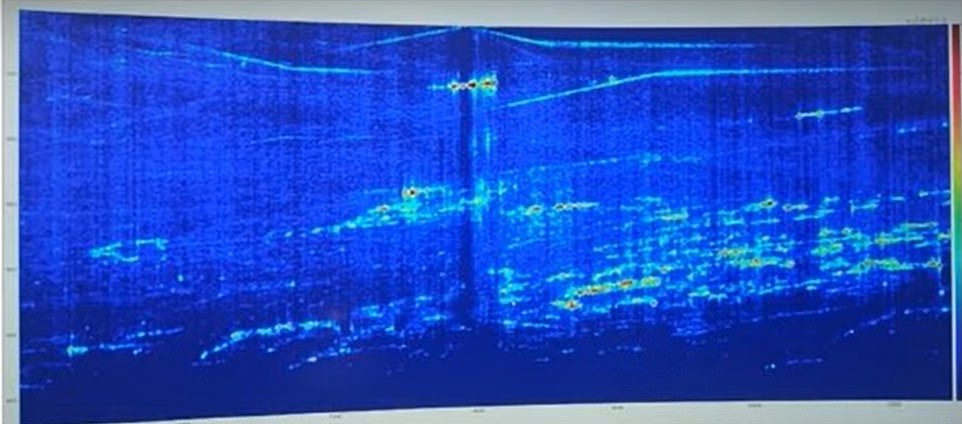 Ellen Callebout: “Ze zijn vergroeid met mij”
