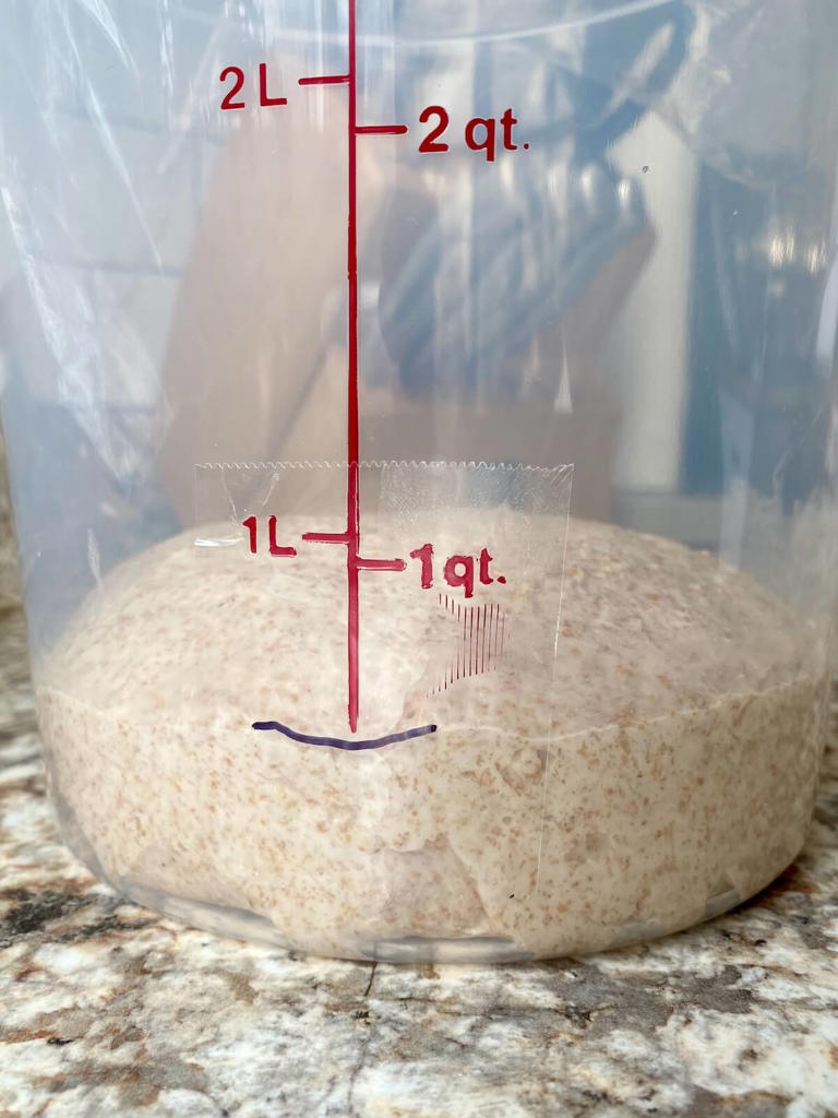 Whole wheat sourdough sandwich bread