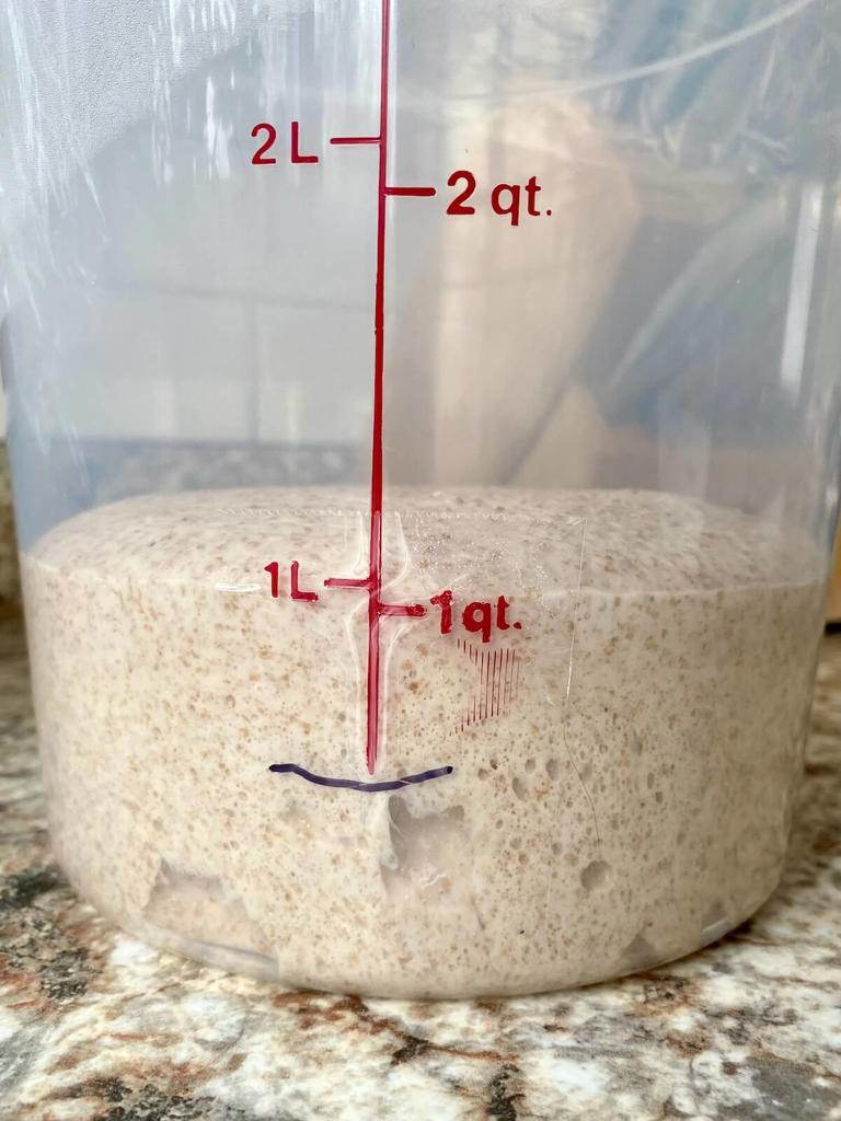 Whole wheat sourdough sandwich bread