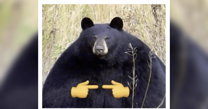 A Big Stretch of 30 Memes