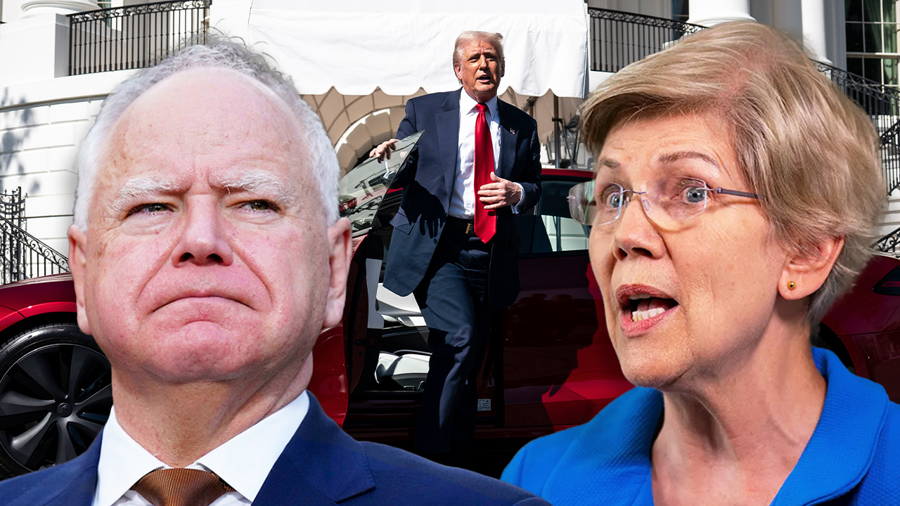 Democrats turn on Tesla despite yearslong electric vehicle push