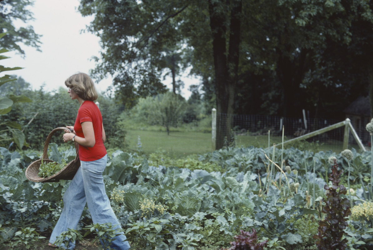 Martha Stewart's Tutorial on Essential Gardening Task Is a Total Must-Watch