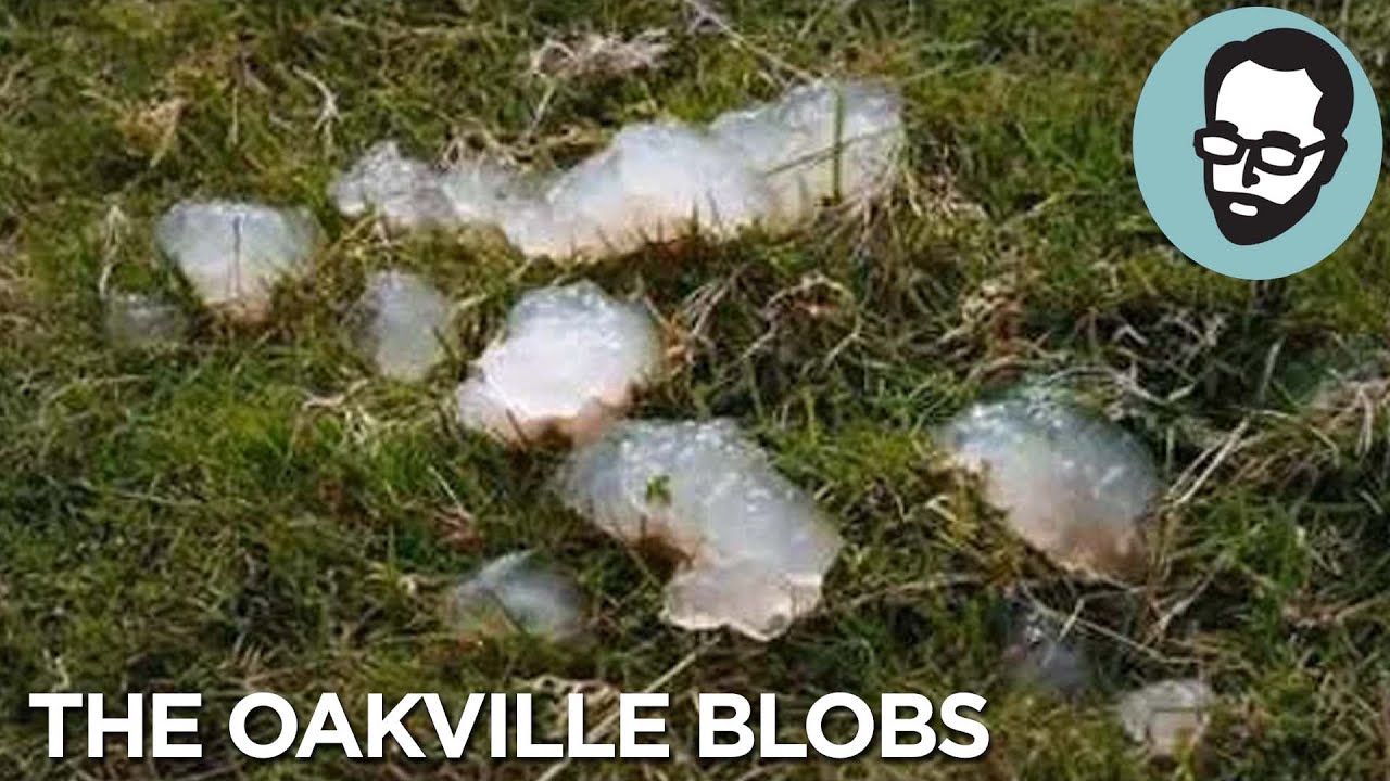 Why Residents Believed the Government Was Behind the Strange Rain in ...
