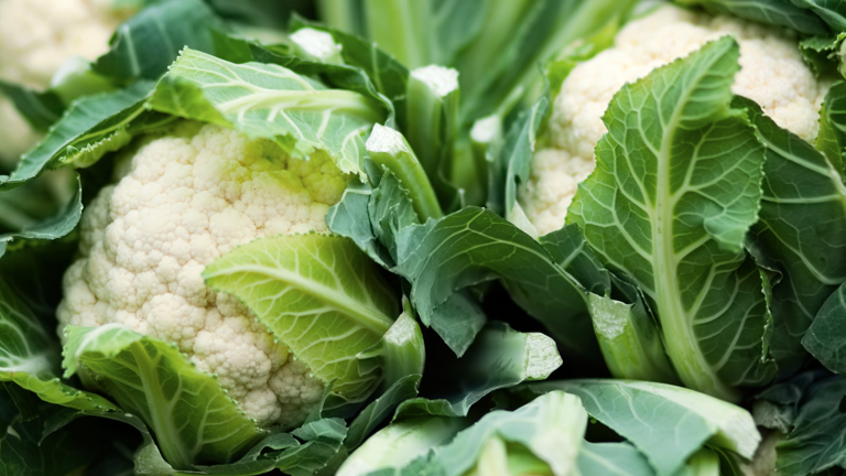 Blumenkohl roh essen