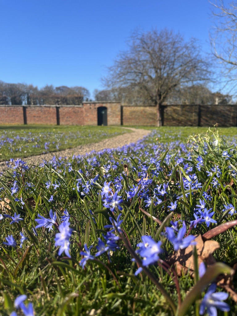 Mums go free at Scampston Walled Garden this Mother's Day!