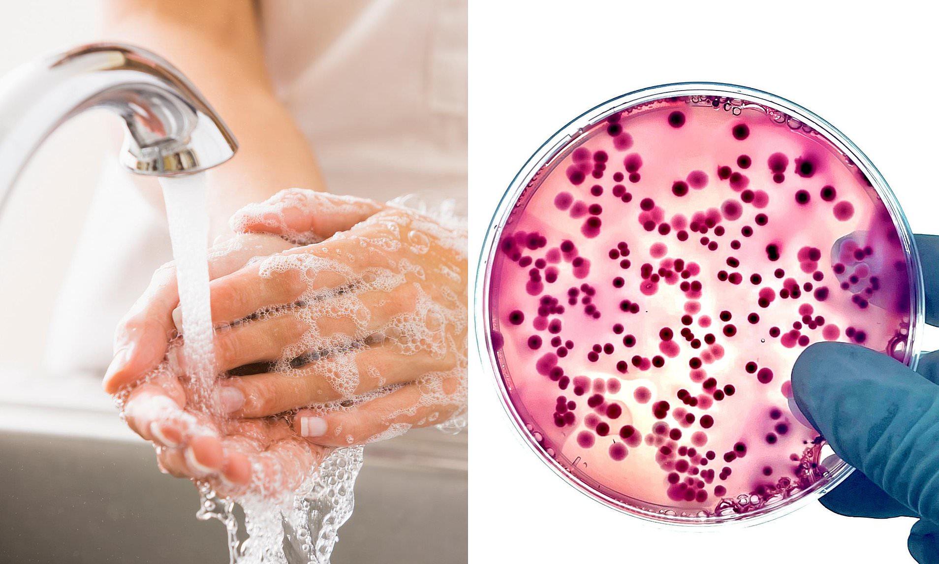 Urgent warning over hand wash tainted by potentially deadly bacteria