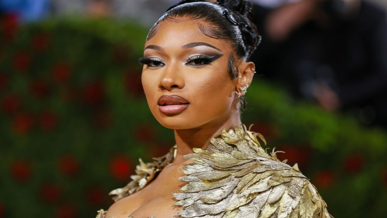 Megan Thee Stallion Teases 'Dream' Collab With THIS Grammy Winner on ...