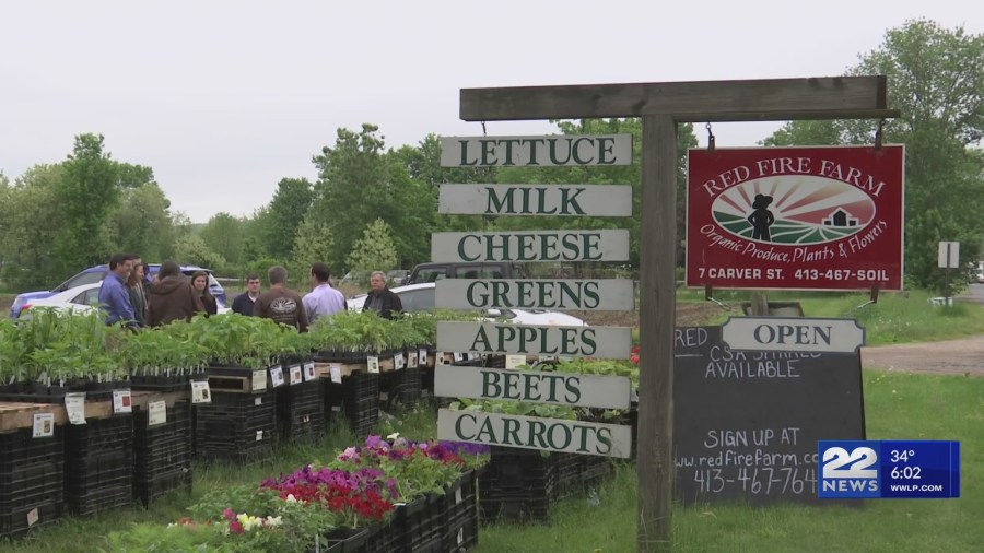 Red Fire Farm’s Harvest Celebration to aid barn rebuilding efforts