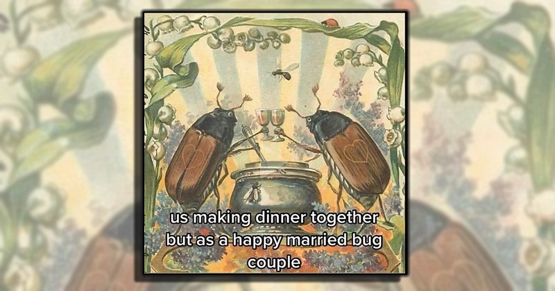 21 Wholesome Little Bug Memes to Celebrate the Start of Spring Like a ...