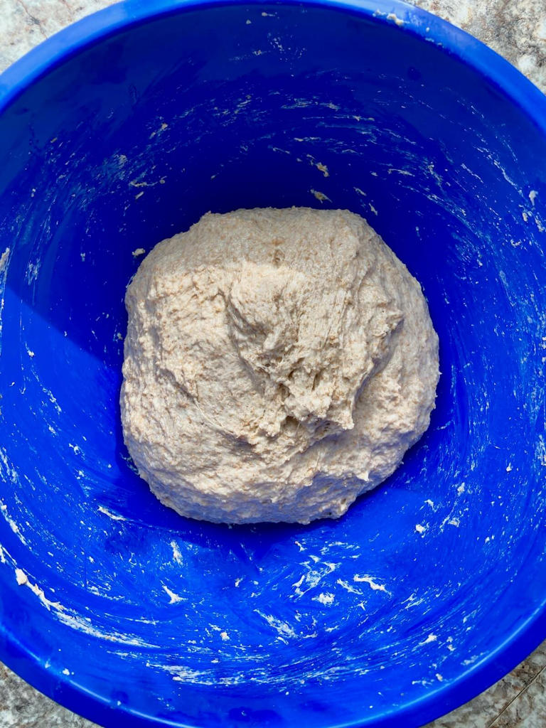 Whole Wheat Sourdough Sandwich Bread