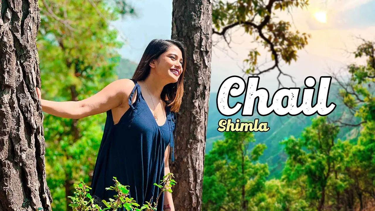 Incredible Offbeat Shimla: Exploring Chail, Nature's Paradise Near Shimla