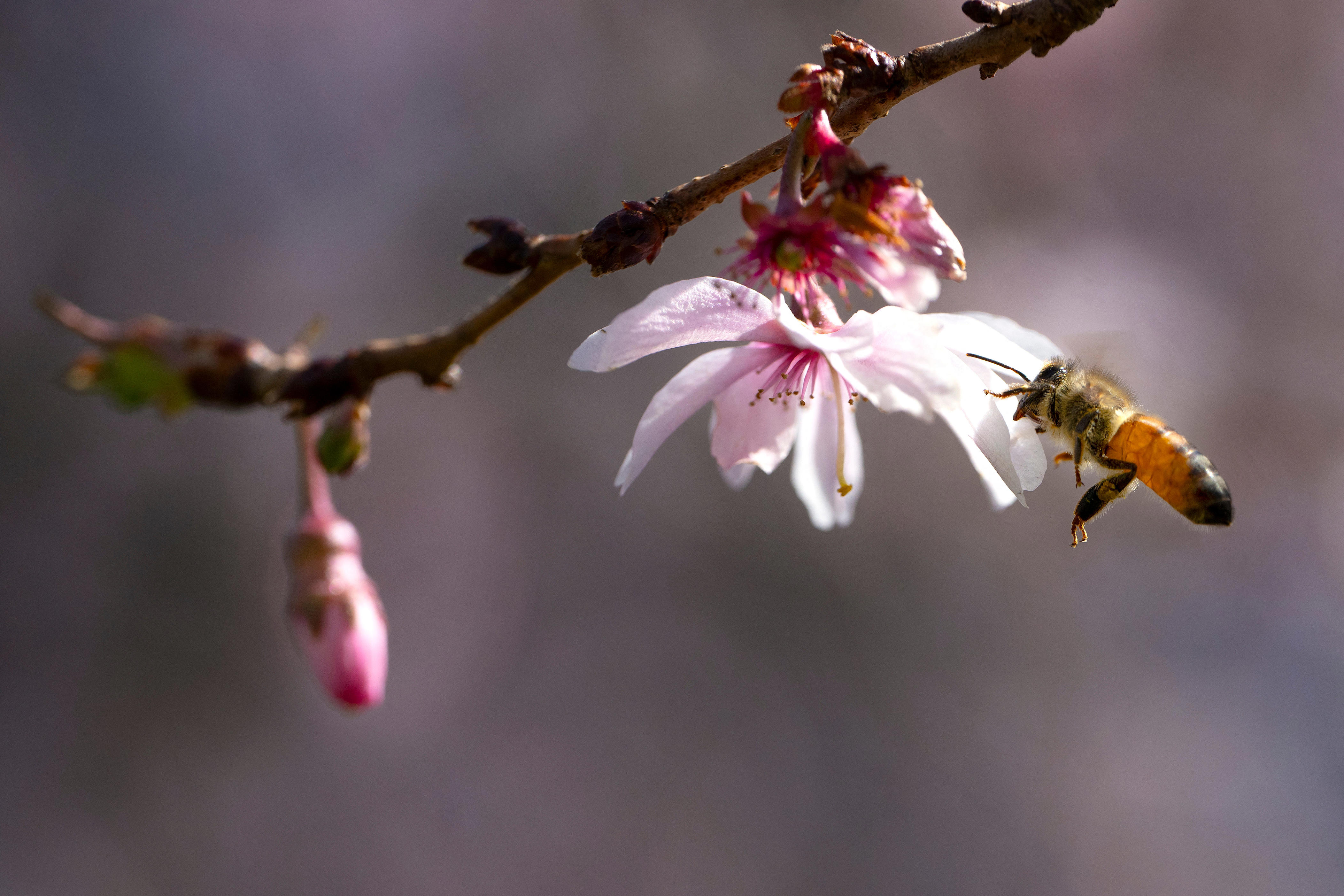When does spring start? And what's the spring equinox?