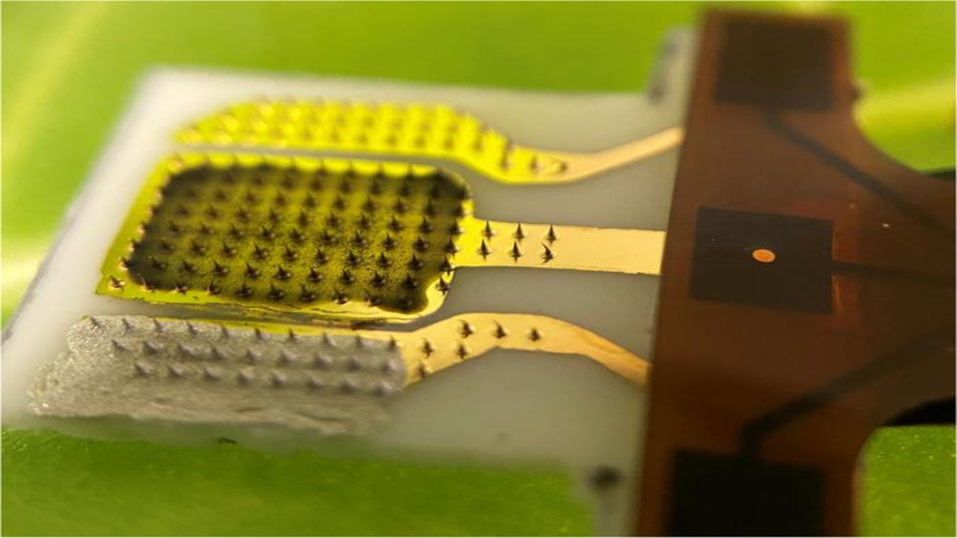 New wearable microneedle sensor identifies plant stress in under a minute