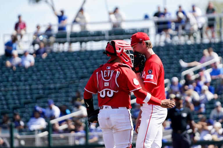 Cincinnati Reds Bench Depth Breakdown