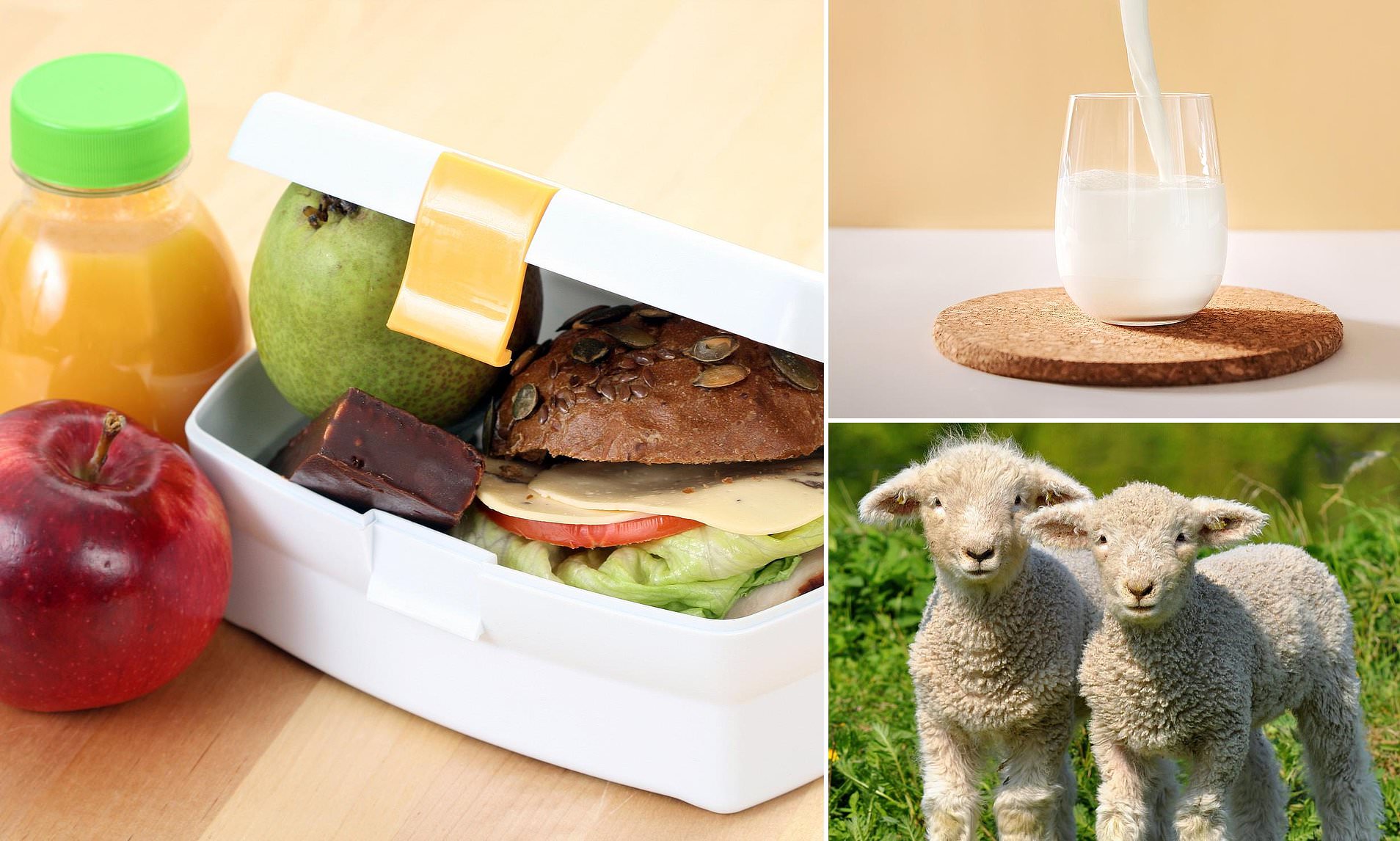 Warning after food poisoning outbreak sickens 300 and kills two