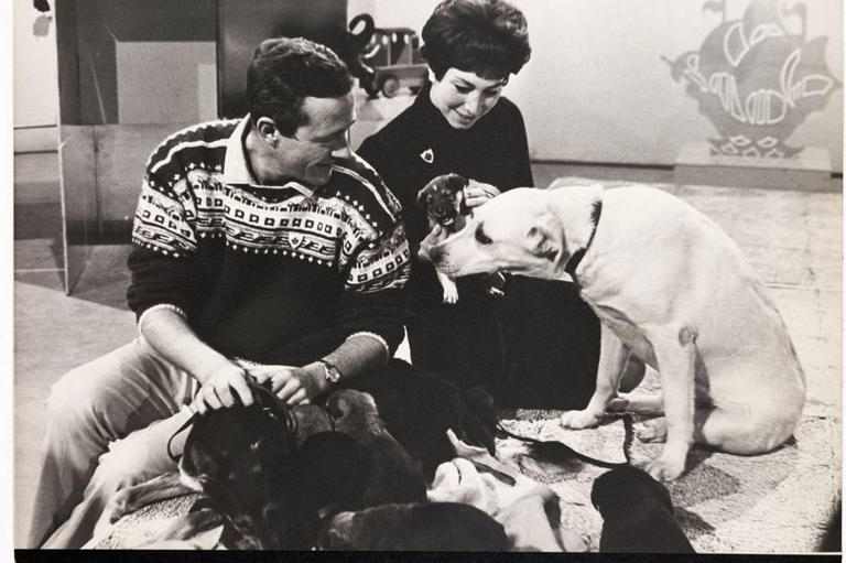 Where are Blue Peter presenters now as live show axed