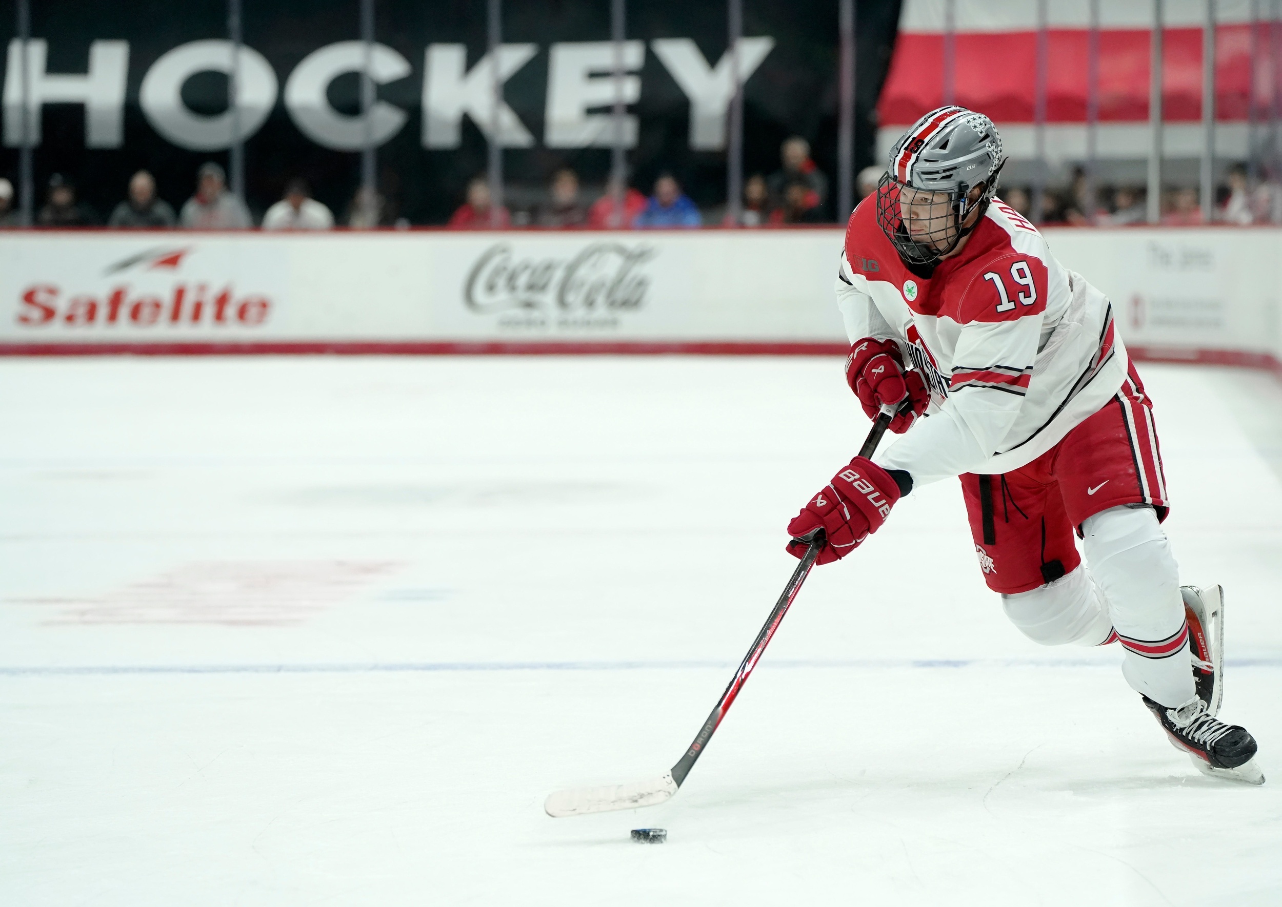 Senators recall Stephen Halliday