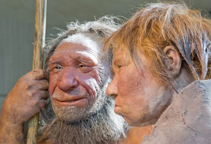 DNA study reveals modern humans evolved from two ancient groups