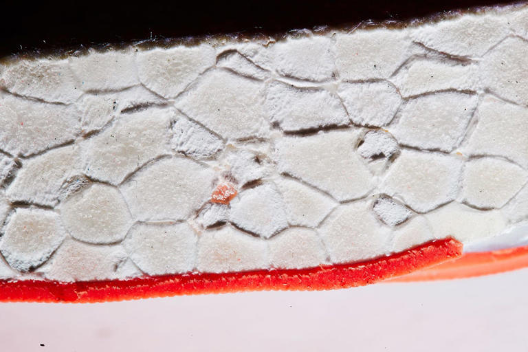 Shoe Prices Are Soaring and Runners Are Suddenly Faster. Welcome to the ...