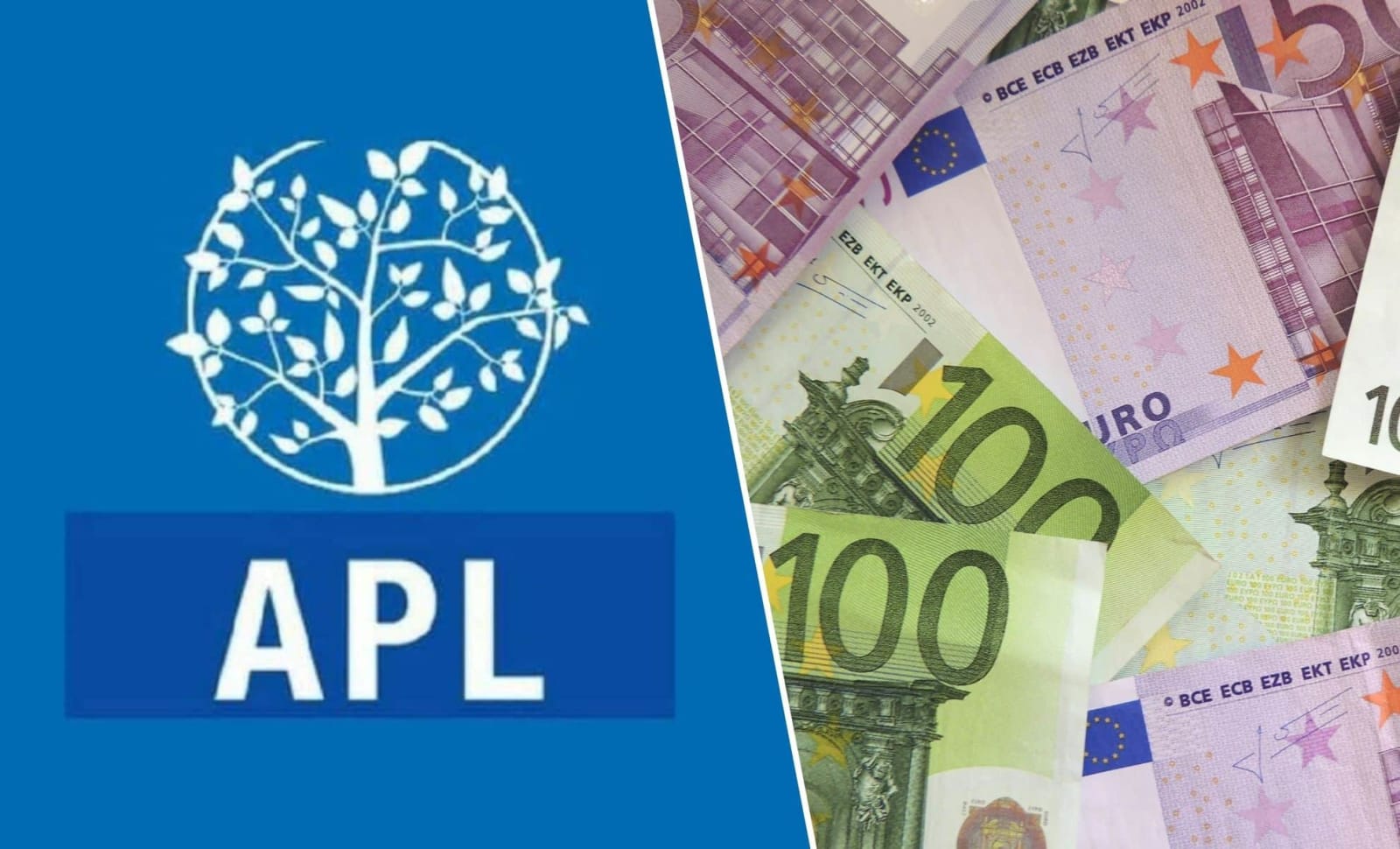 Aides personnalisées au logement (APL) : la CAF en passe de supprimer ...